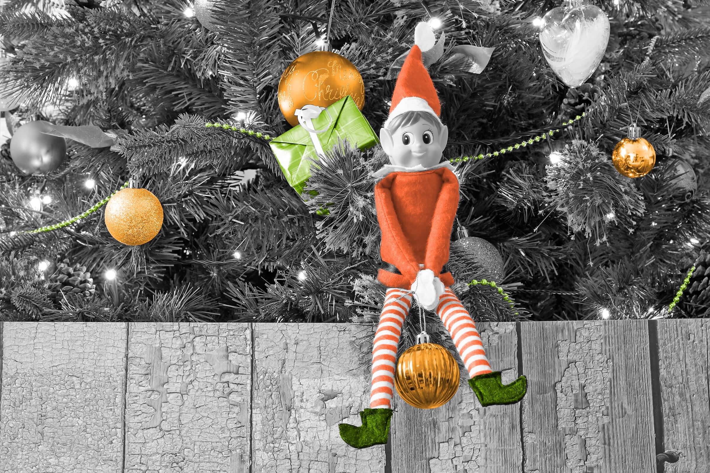 6 Amazing Facts About Elves - Interesting Facts