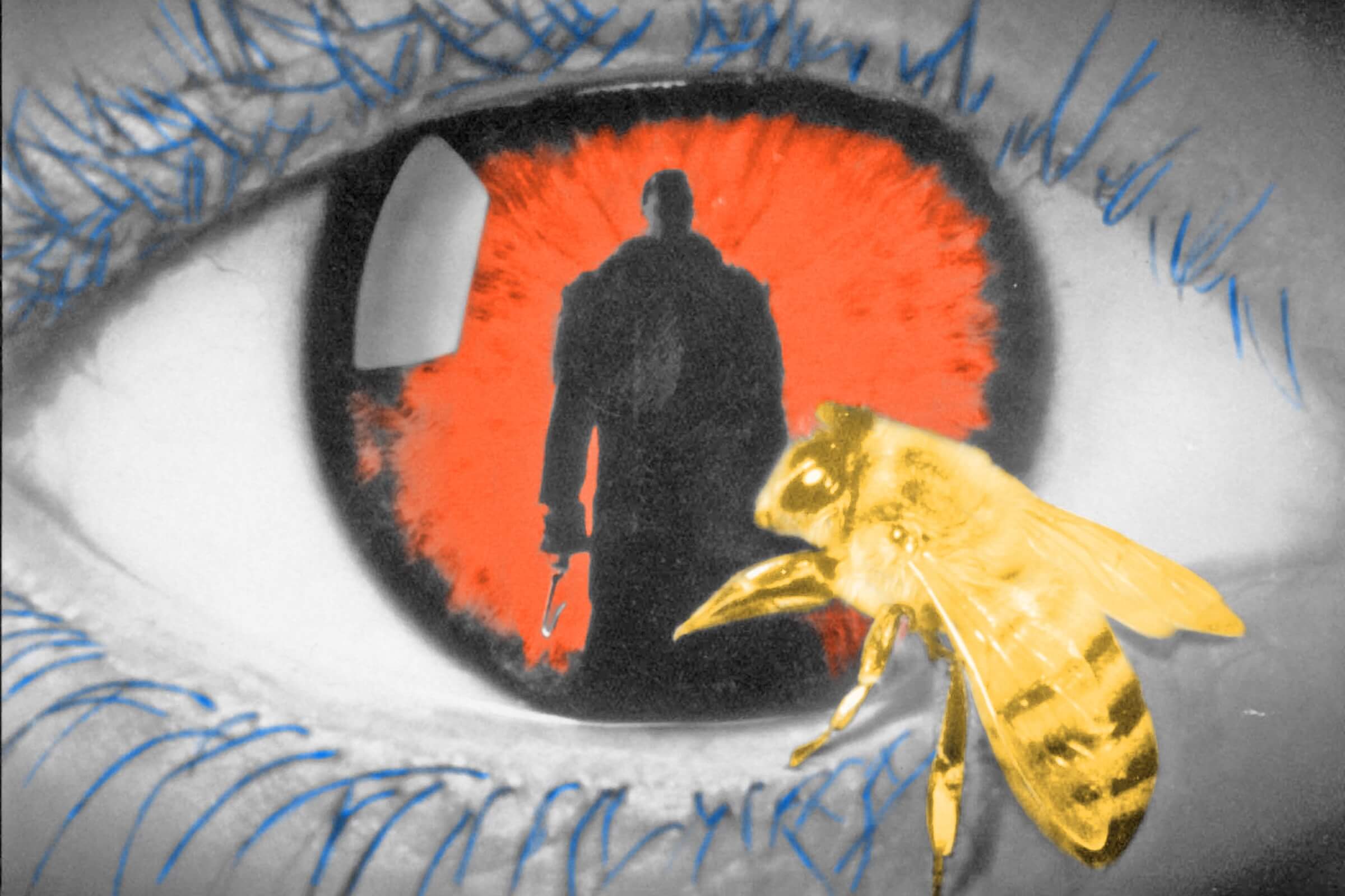 6 Facts About the Horror Classic ‘Candyman’ (Candyman, Candyman ...
