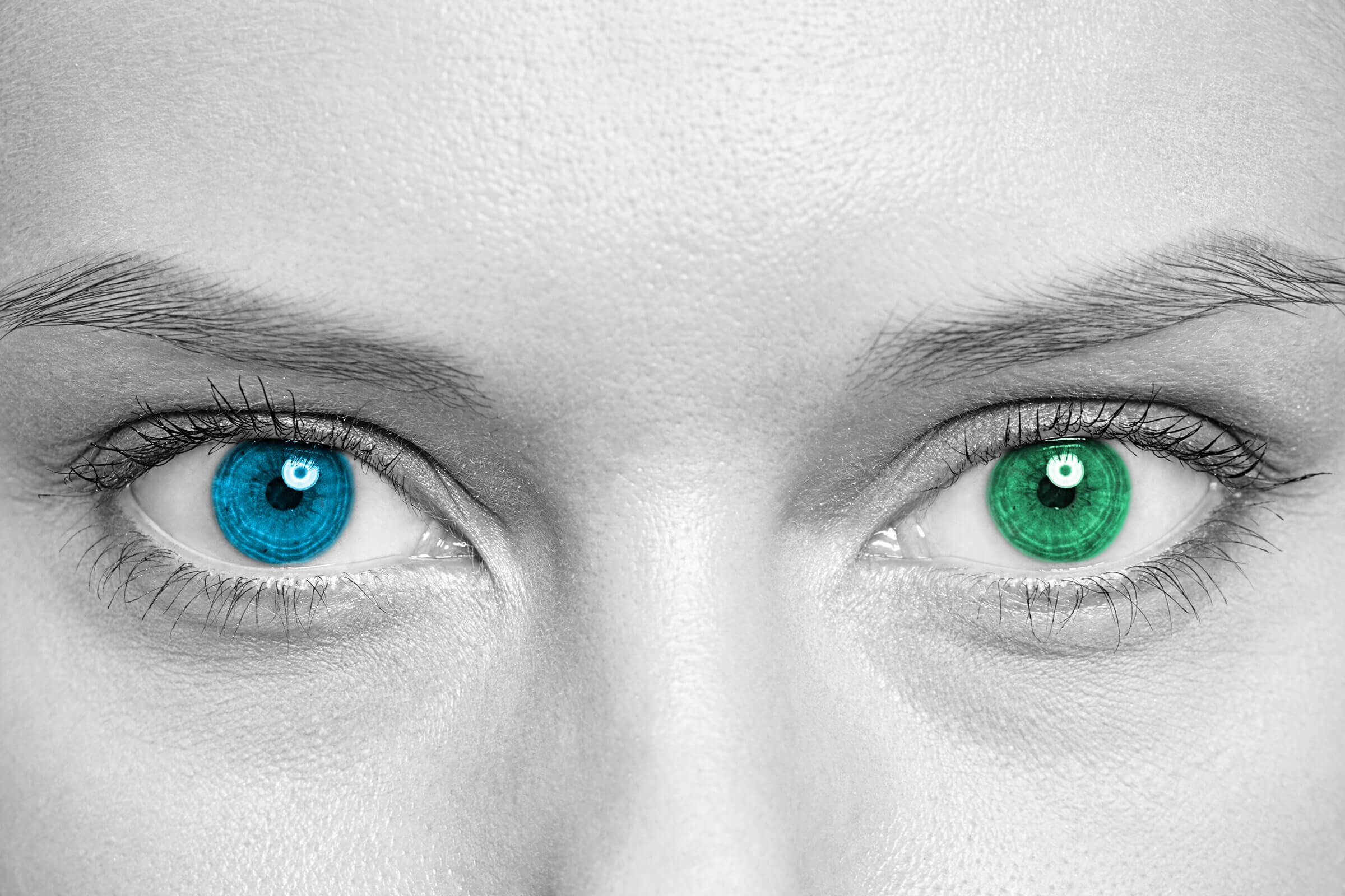 Look Here! 6 Fun Facts About Eyes - Interesting Facts