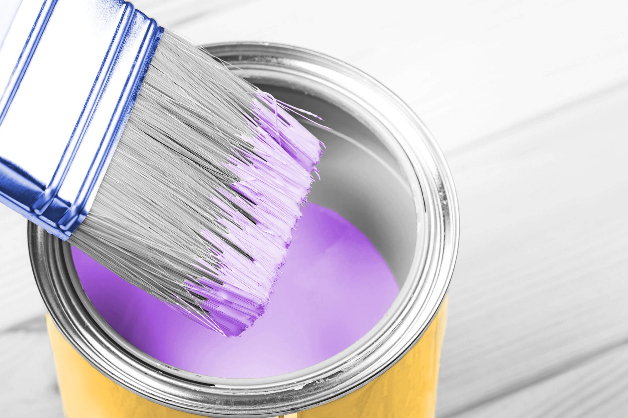 6 Amazing Facts About Purple - Interesting Facts