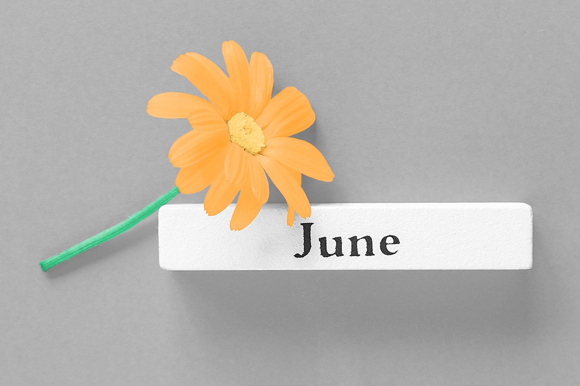 7 Amazing Facts About June - Interesting Facts