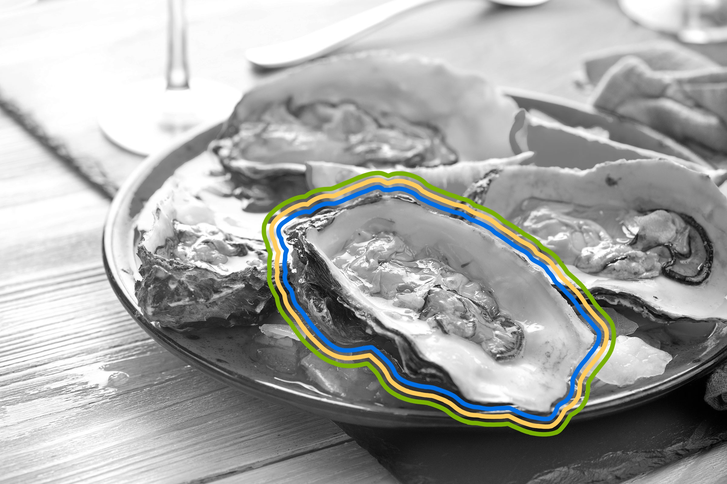 6 Interesting Facts About Oysters - Interesting Facts