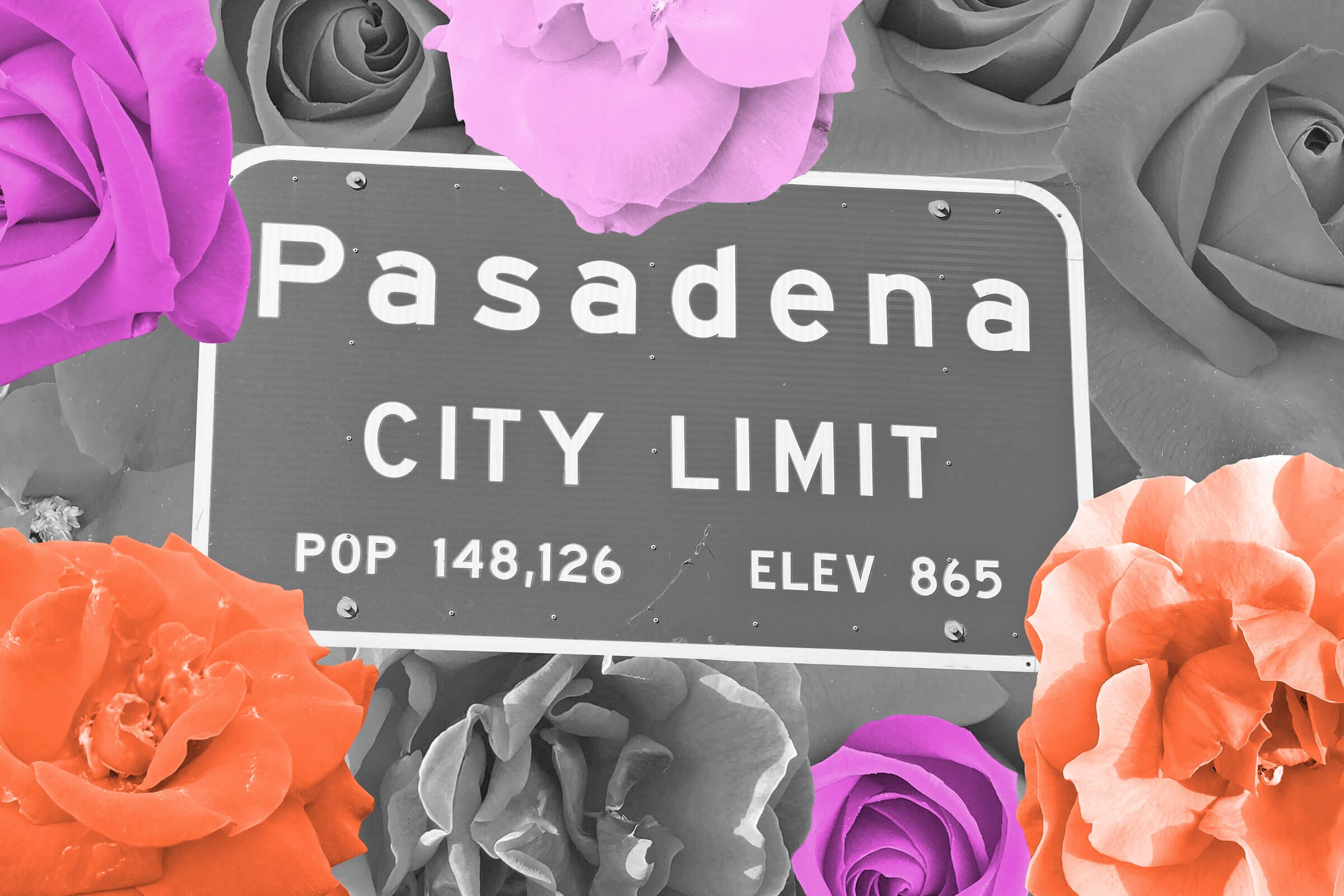 6 Fun Facts About the Rose Parade - Interesting Facts