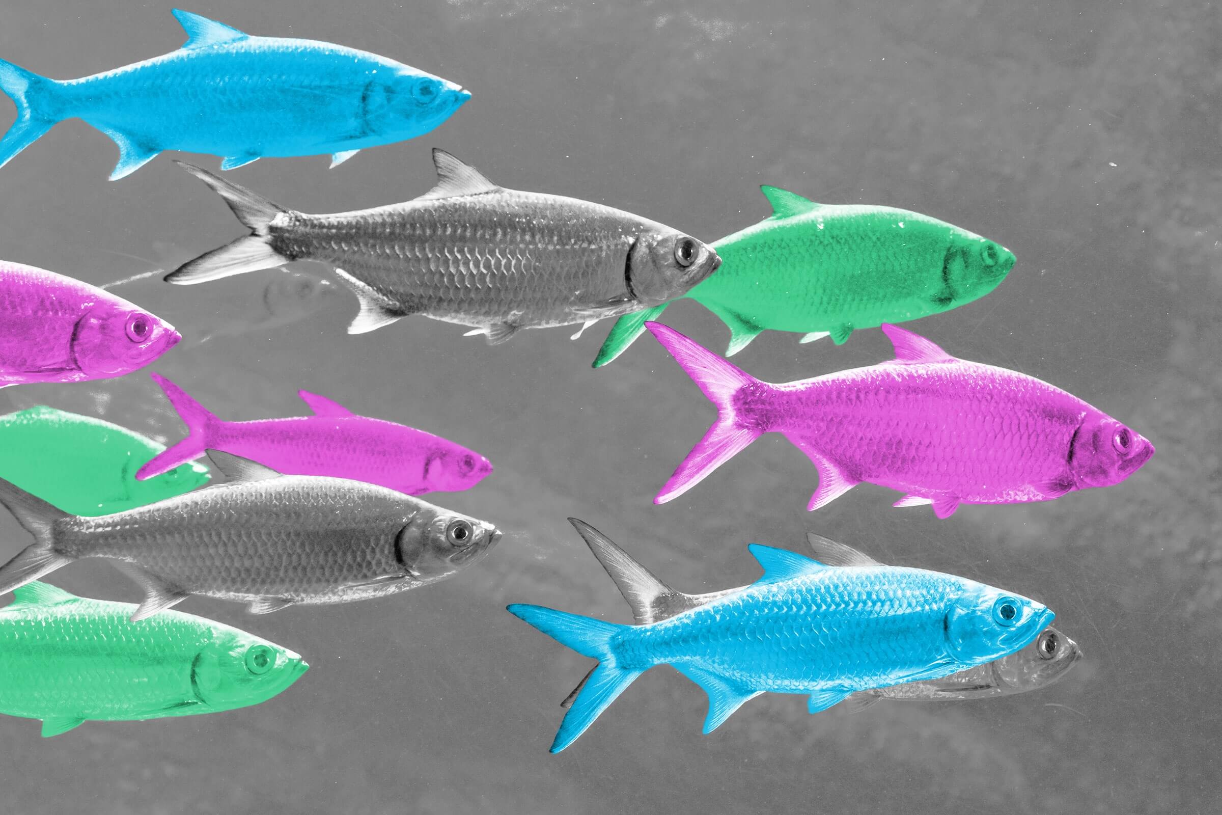 9 Facts About Fish That Definitely Hold Water - Interesting Facts