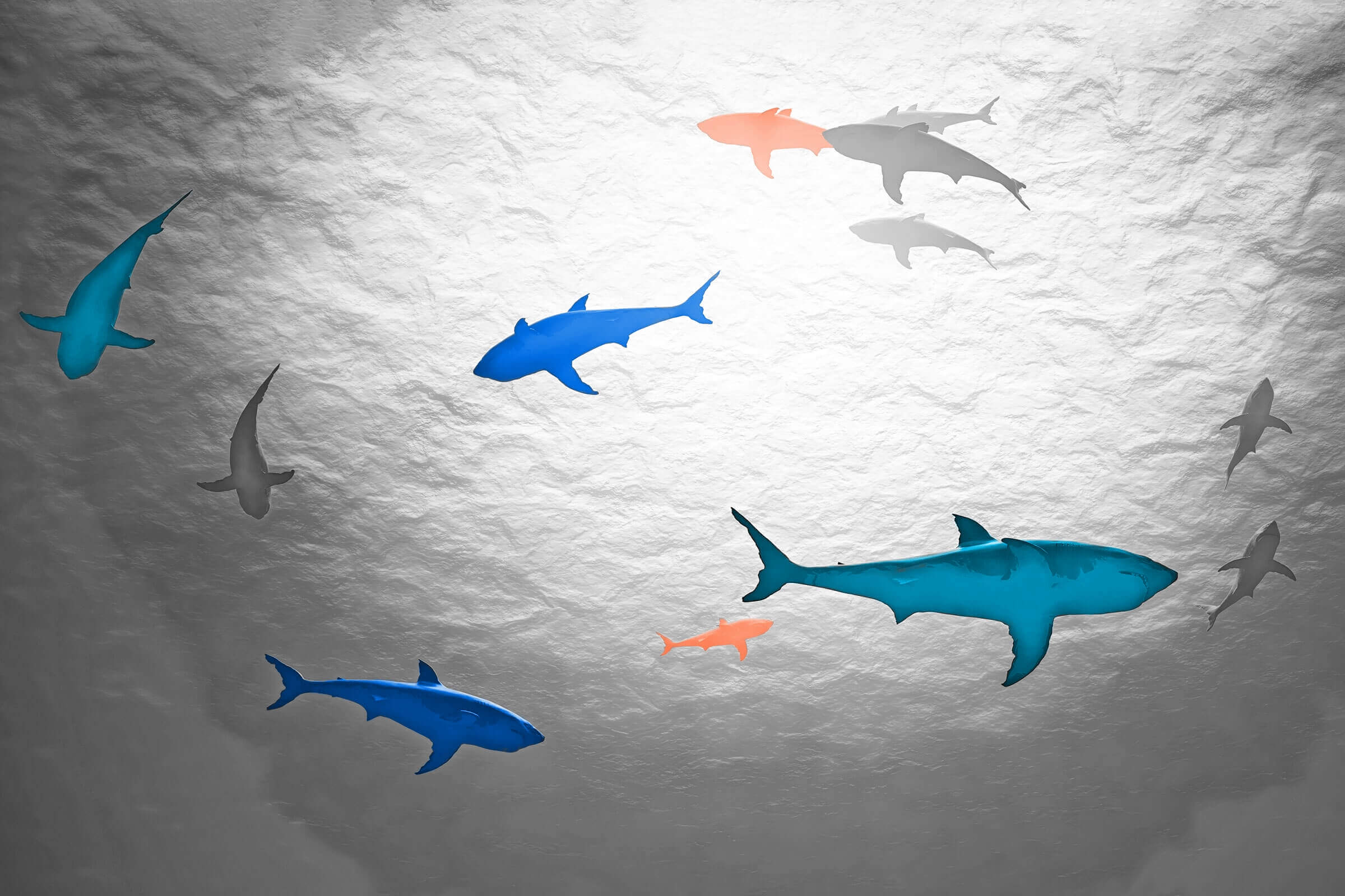 7 Fascinating Facts About Sharks - Interesting Facts