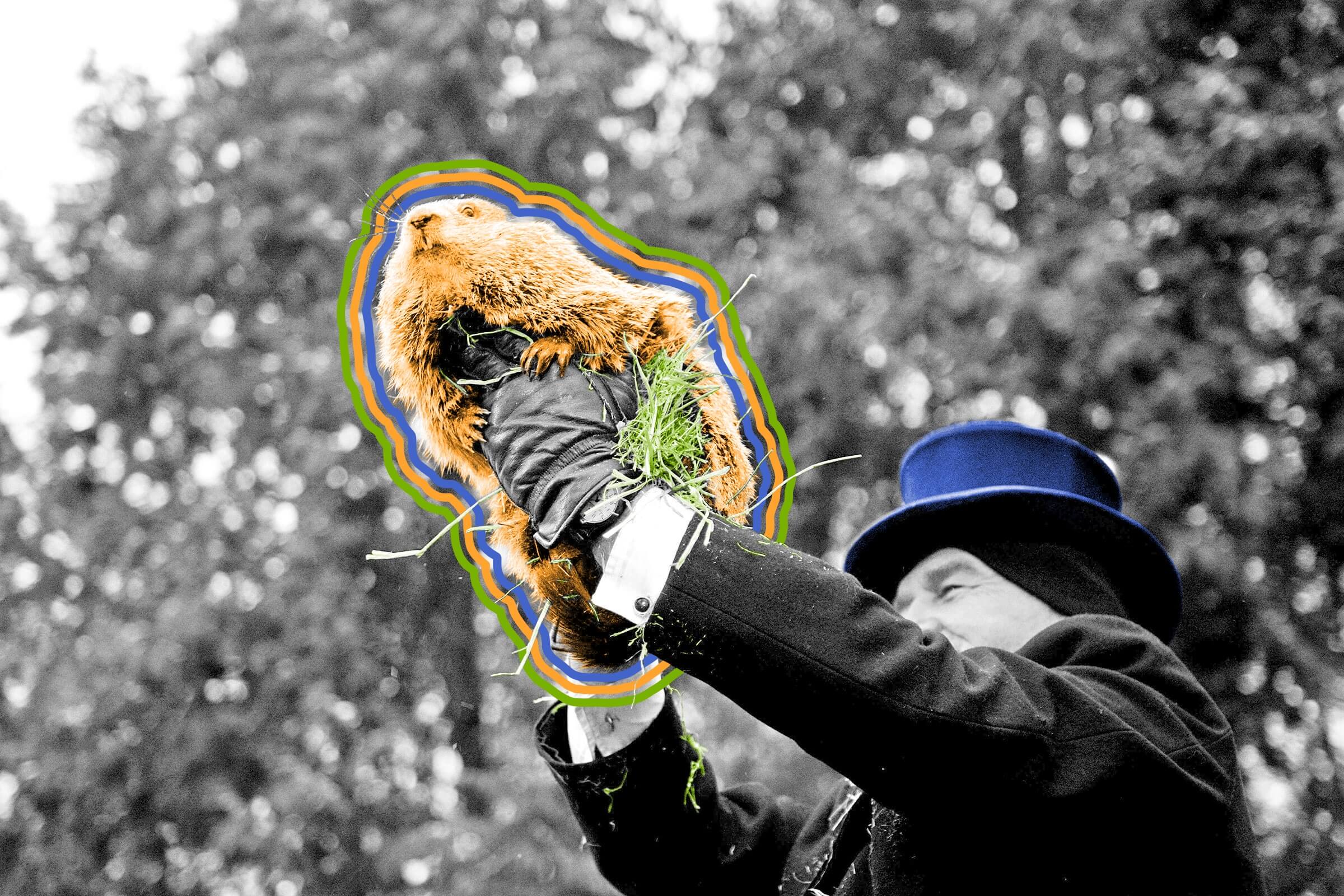 Phil the groundhog is accurate less than half the time. - Interesting Facts