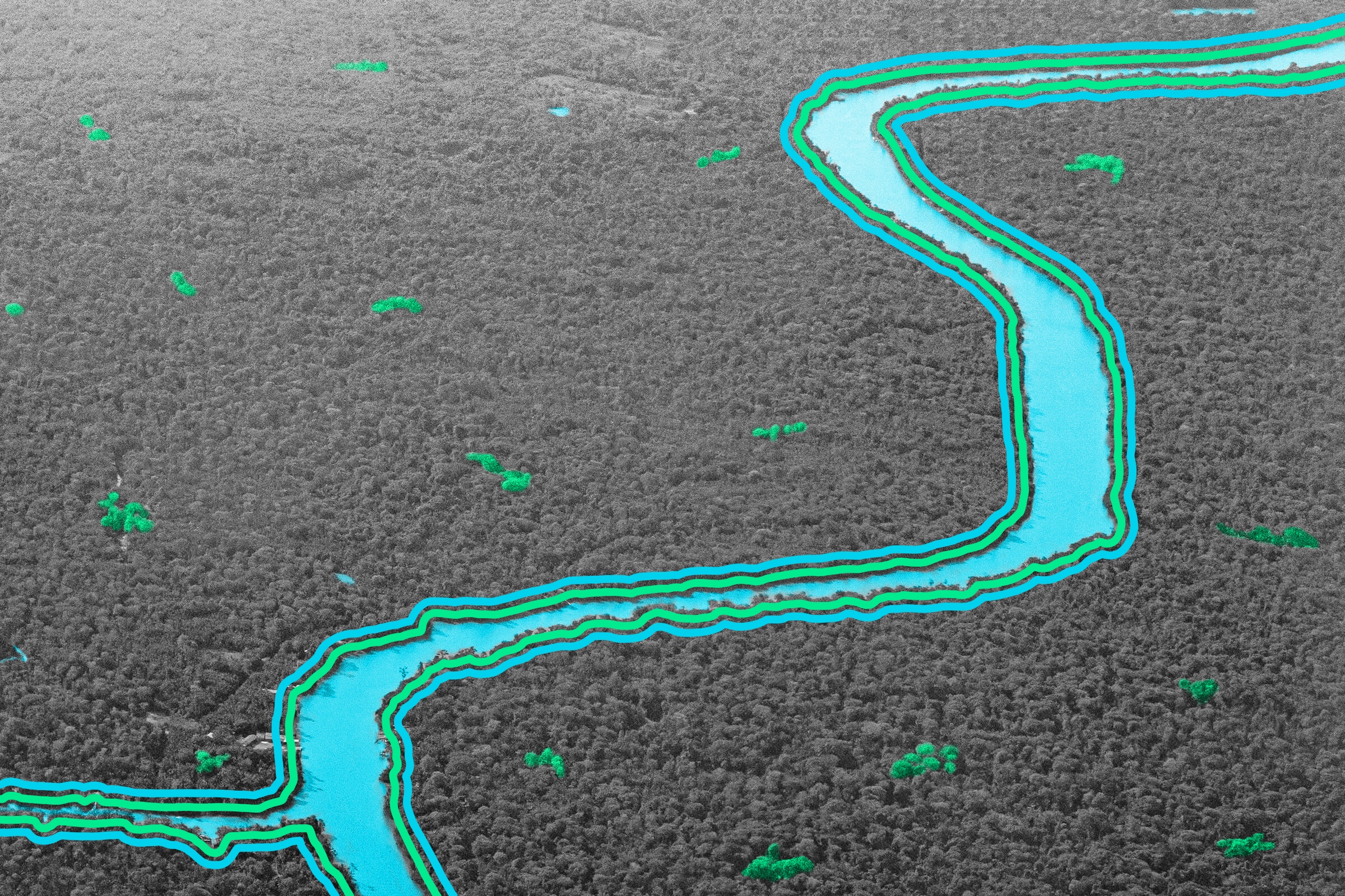 There are no bridges across the Amazon River. - Interesting Facts