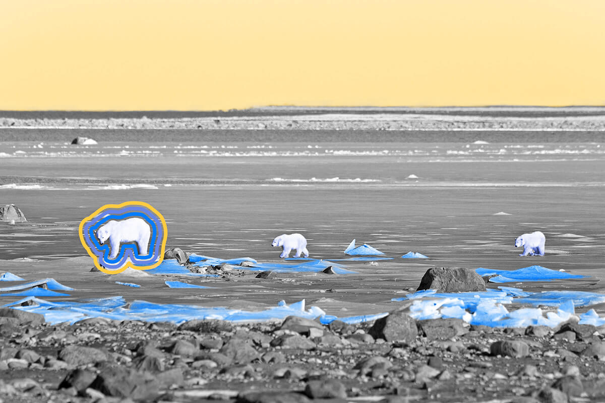 Gravity in Canada’s Hudson Bay area is weaker than in other parts of ...