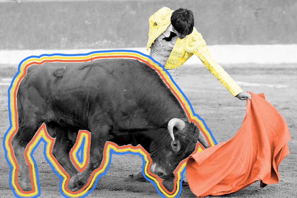 Bulls can't actually see the color red. - Interesting Facts