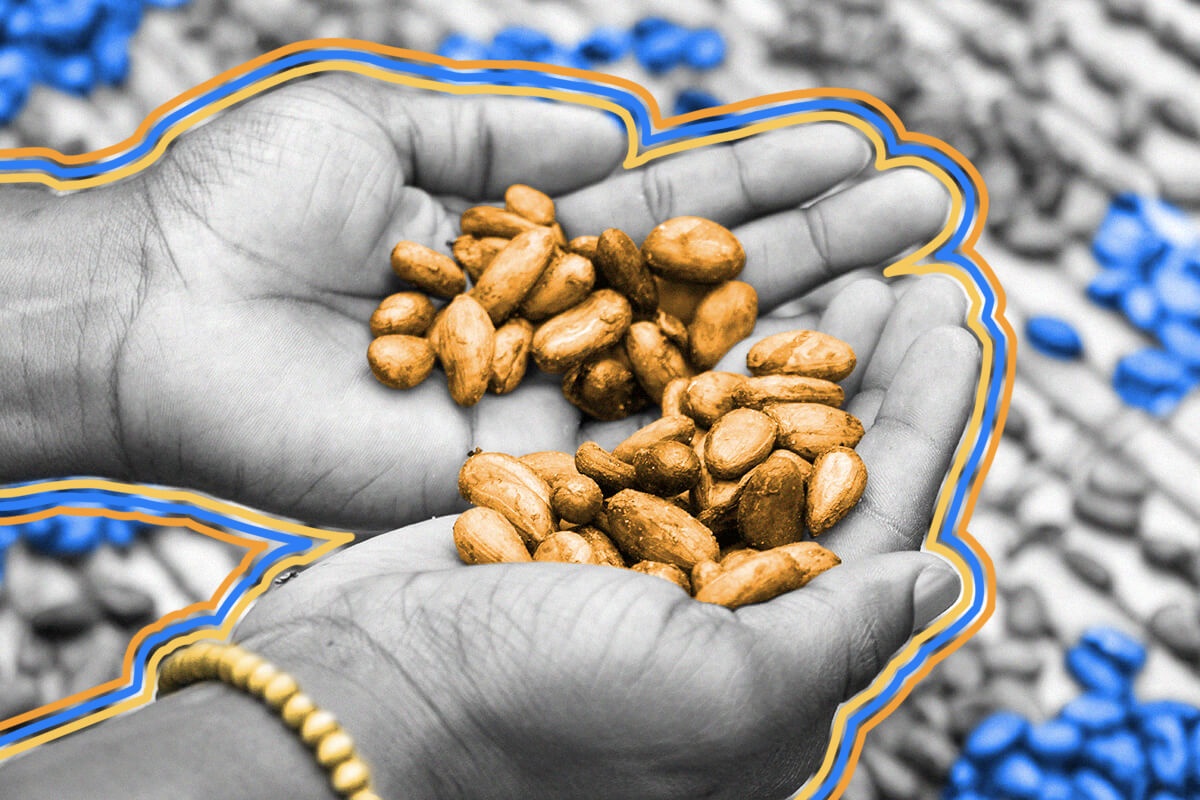 Aztecs considered cacao beans more valuable than gold. - Interesting Facts