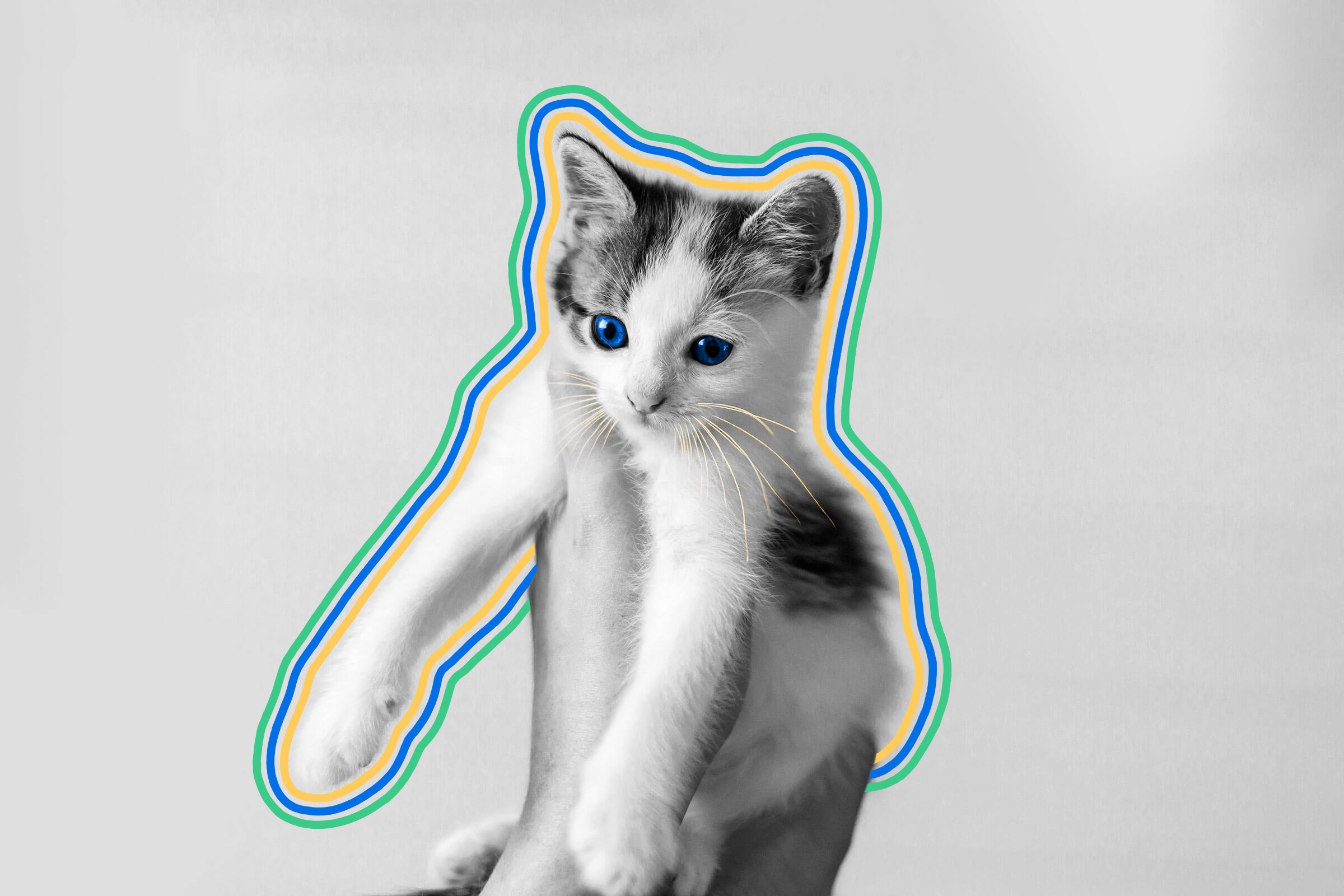 Cats can make 276 different facial expressions. - Interesting Facts