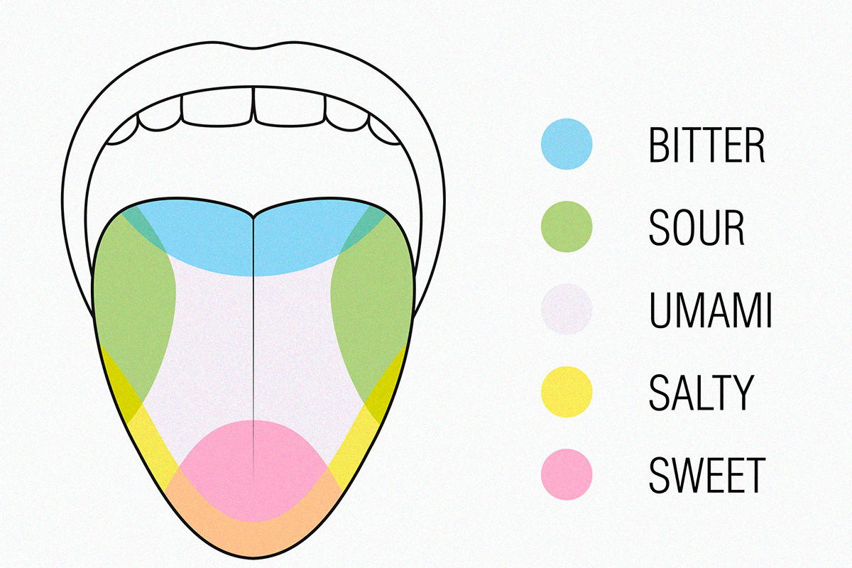 6 Facts About Our Sense of Taste - Interesting Facts