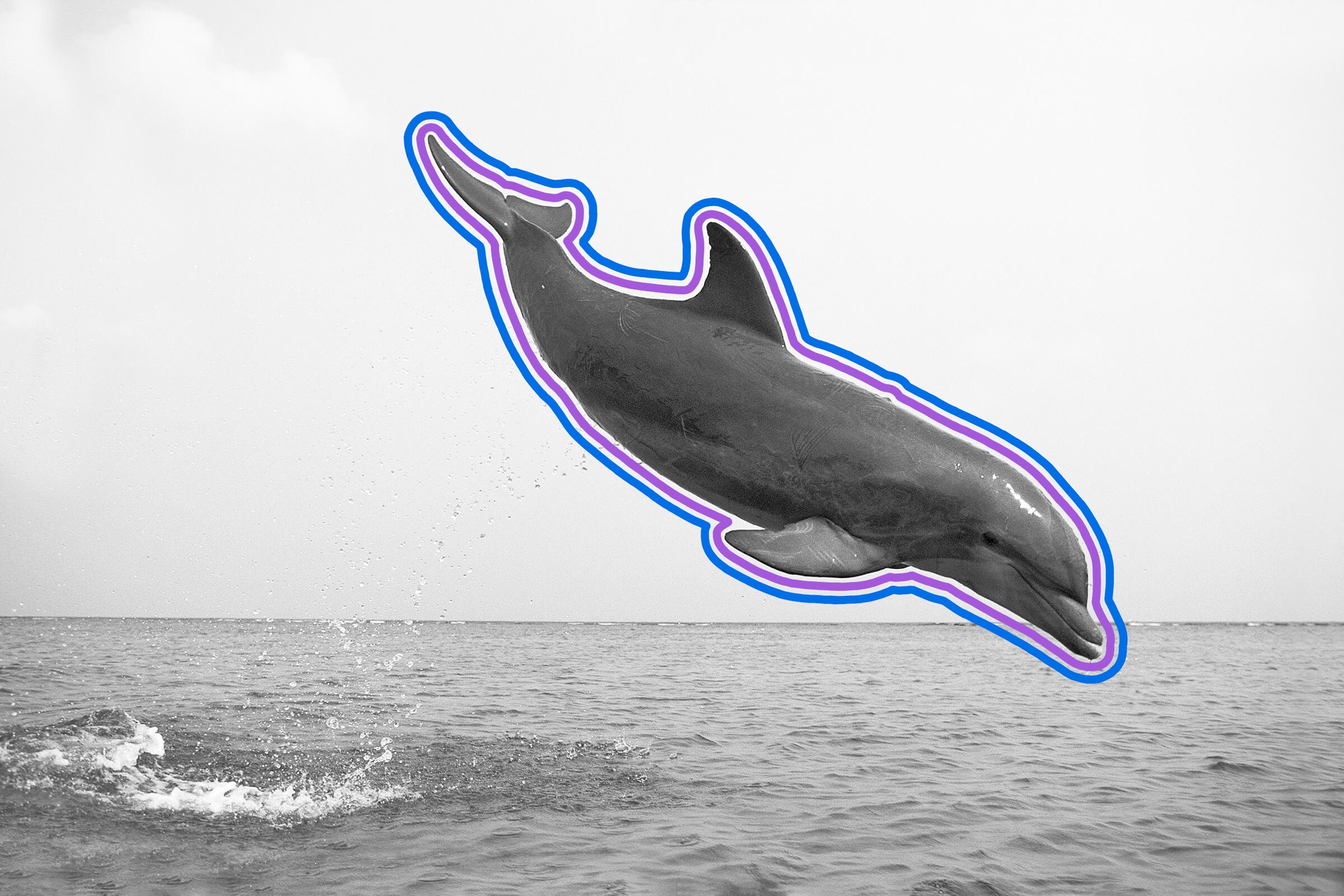 5 Adorable Animals That Are Secretly Vicious - Interesting Facts