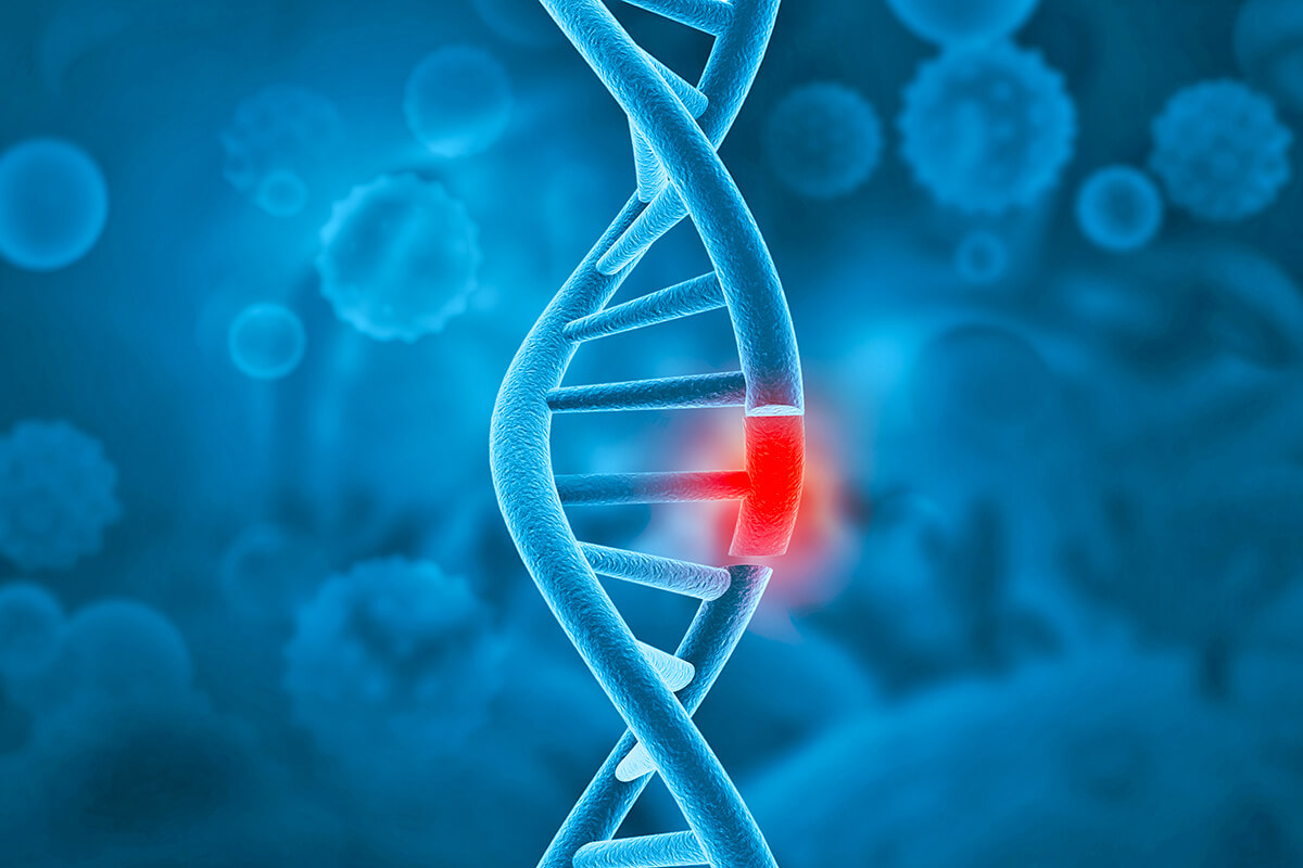 5 Facts About How Our Genes Work - Interesting Facts