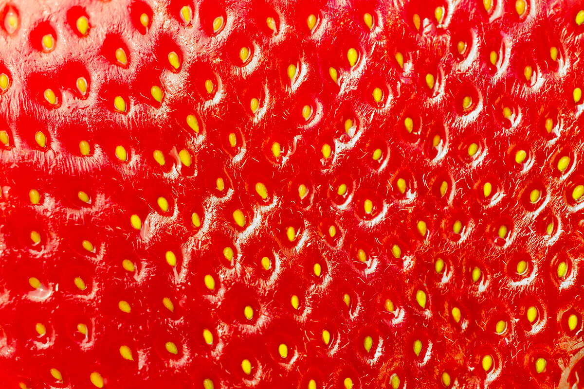 6 Berry Interesting Facts - Interesting Facts