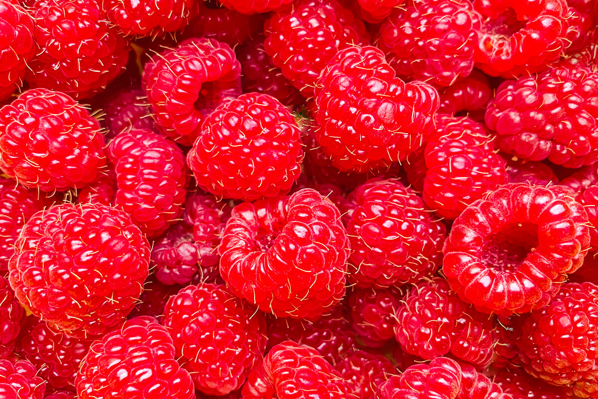 6 Berry Interesting Facts - Interesting Facts