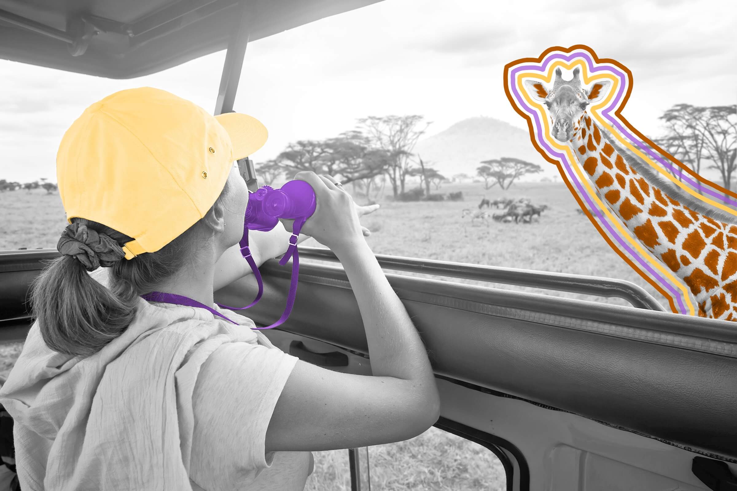 Humans and giraffes have the same number of neck bones. - Interesting Facts