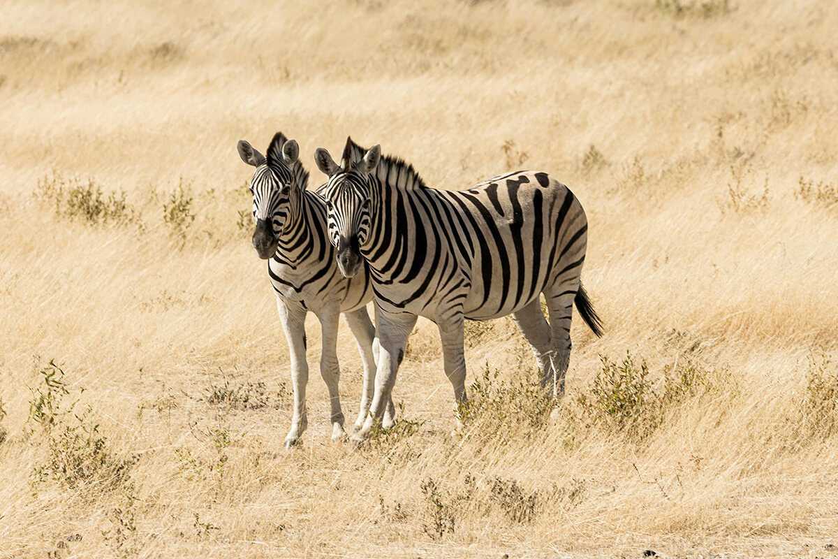Fingerprints, Snowflakes, and Other Patterns That Are Always Unique ...