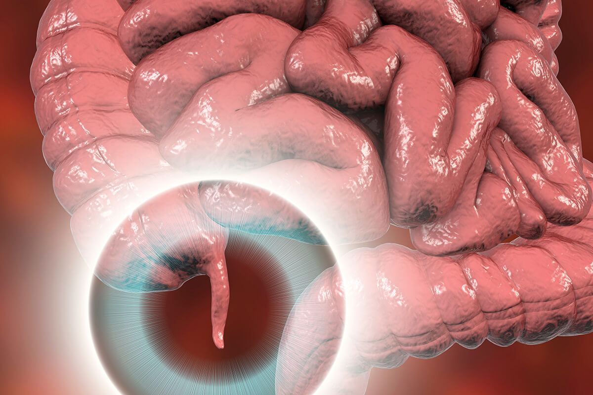 5 Organs Your Body Can Live Without - Interesting Facts