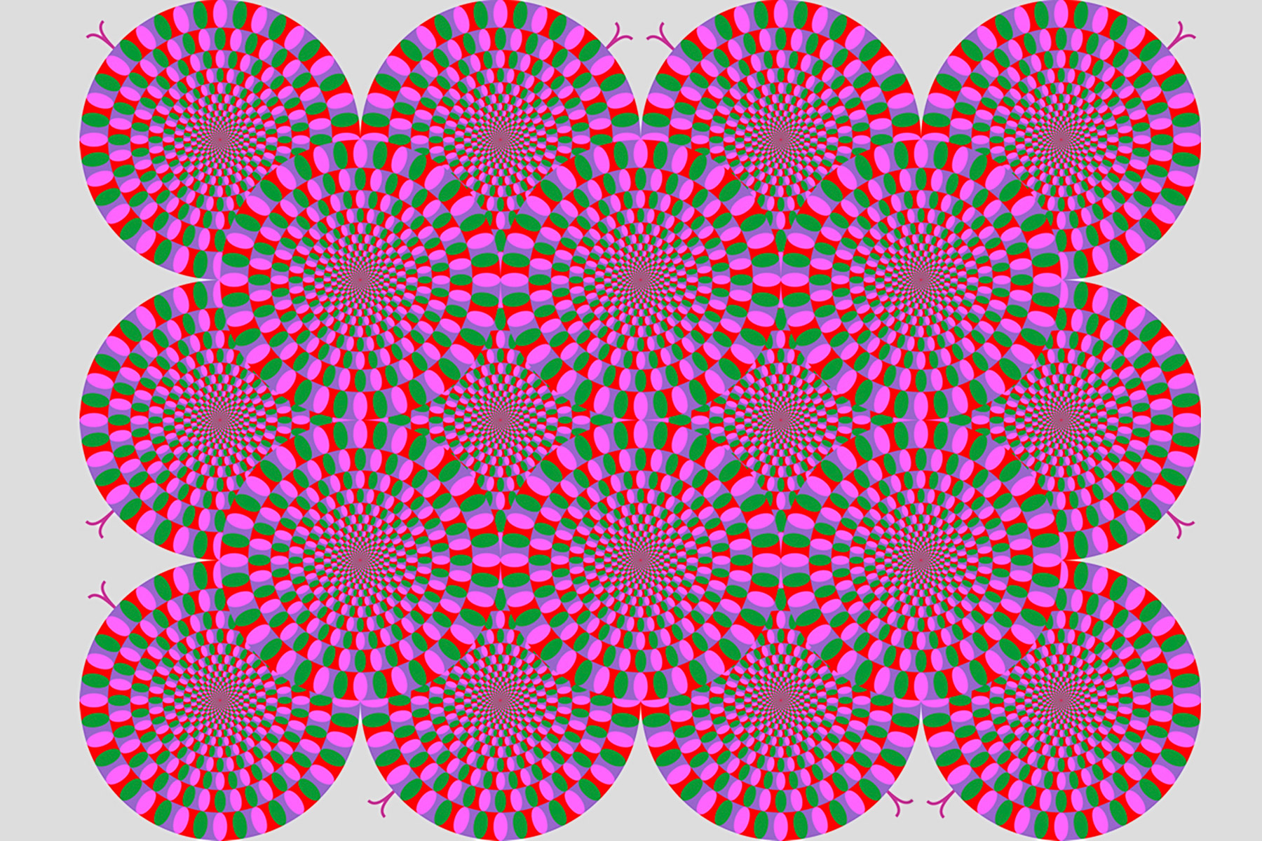 The Secrets Behind 5 Optical Illusions - Interesting Facts