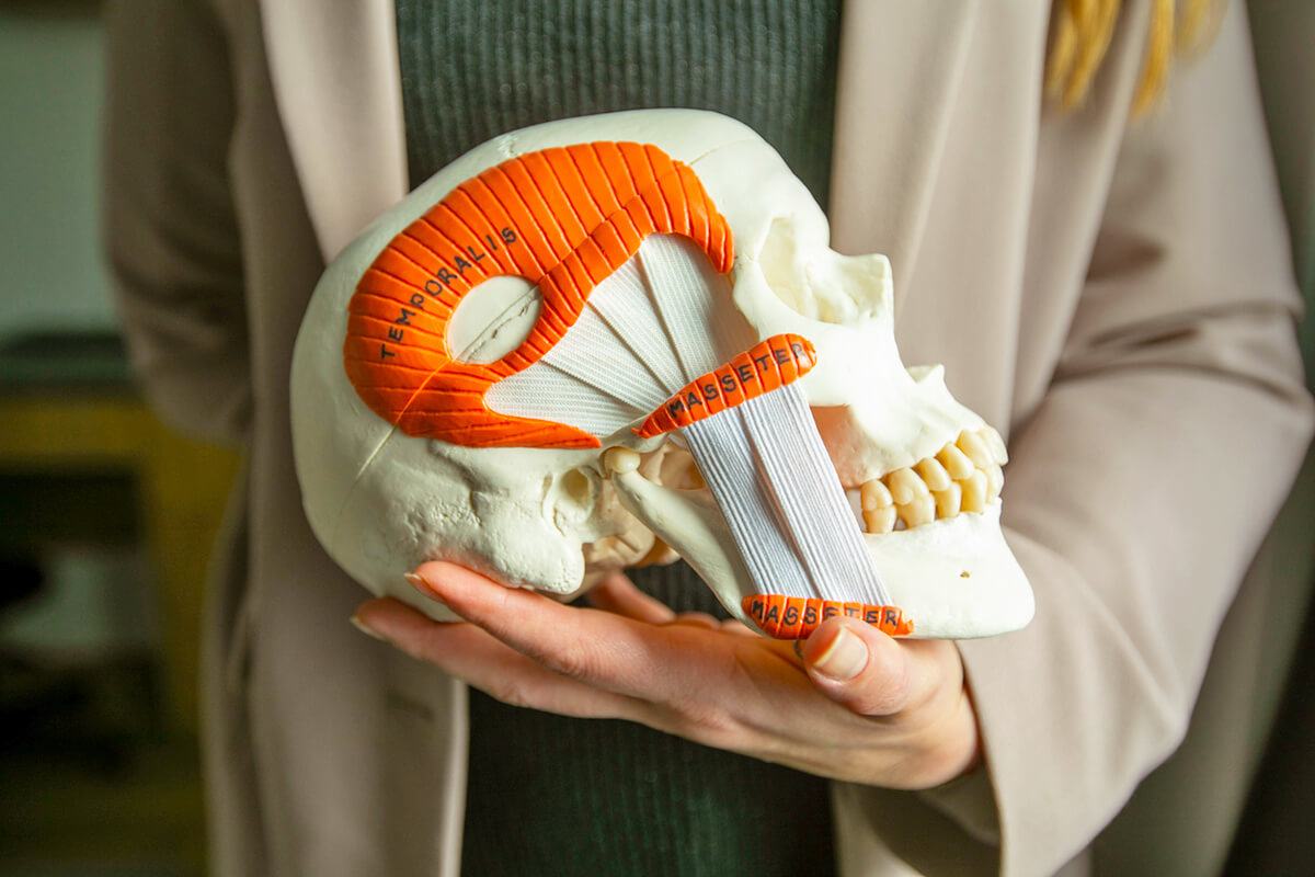 These Muscle Facts Are a Serious Flex - Interesting Facts