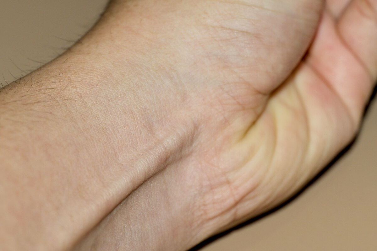 These Muscle Facts Are a Serious Flex - Interesting Facts