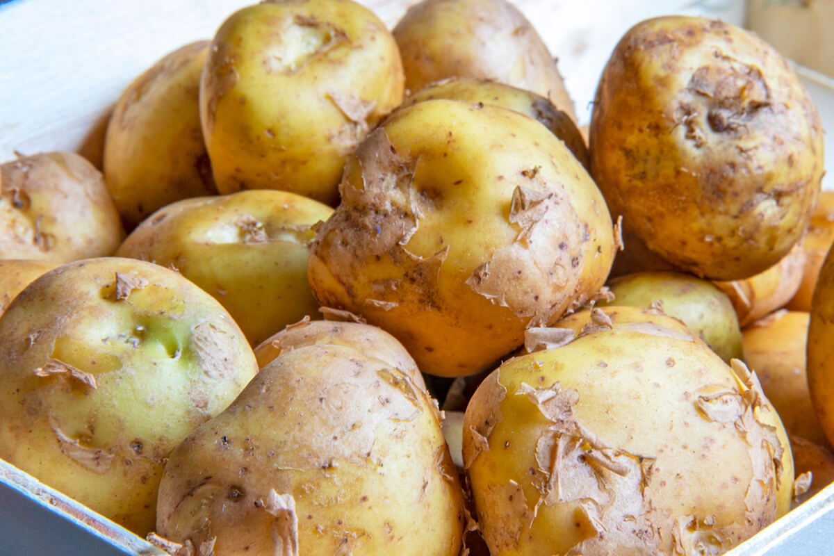 6 Potato Facts That Are Too Hot To Handle - Interesting Facts