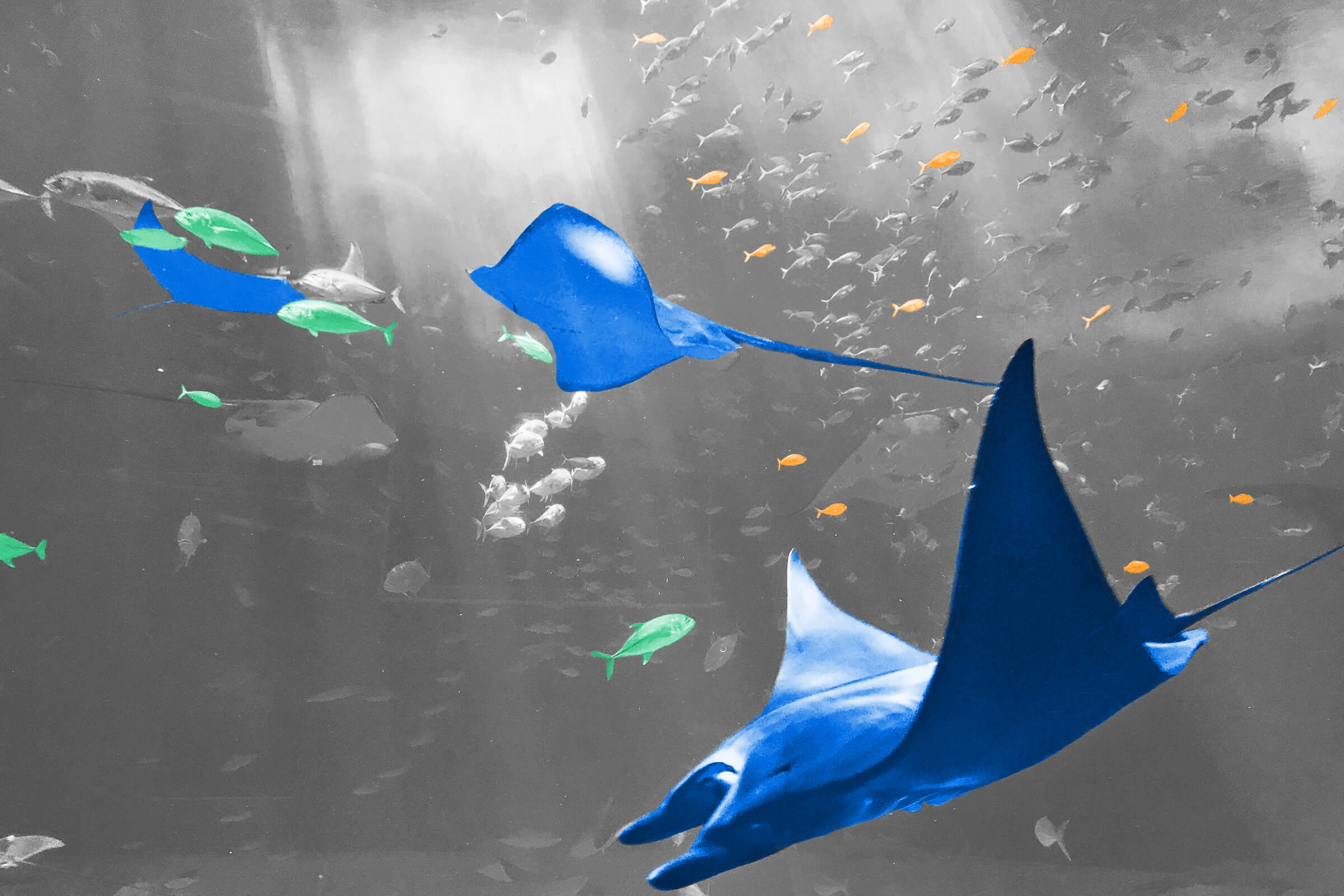 6 Amazing Facts About X-Rays - Interesting Facts