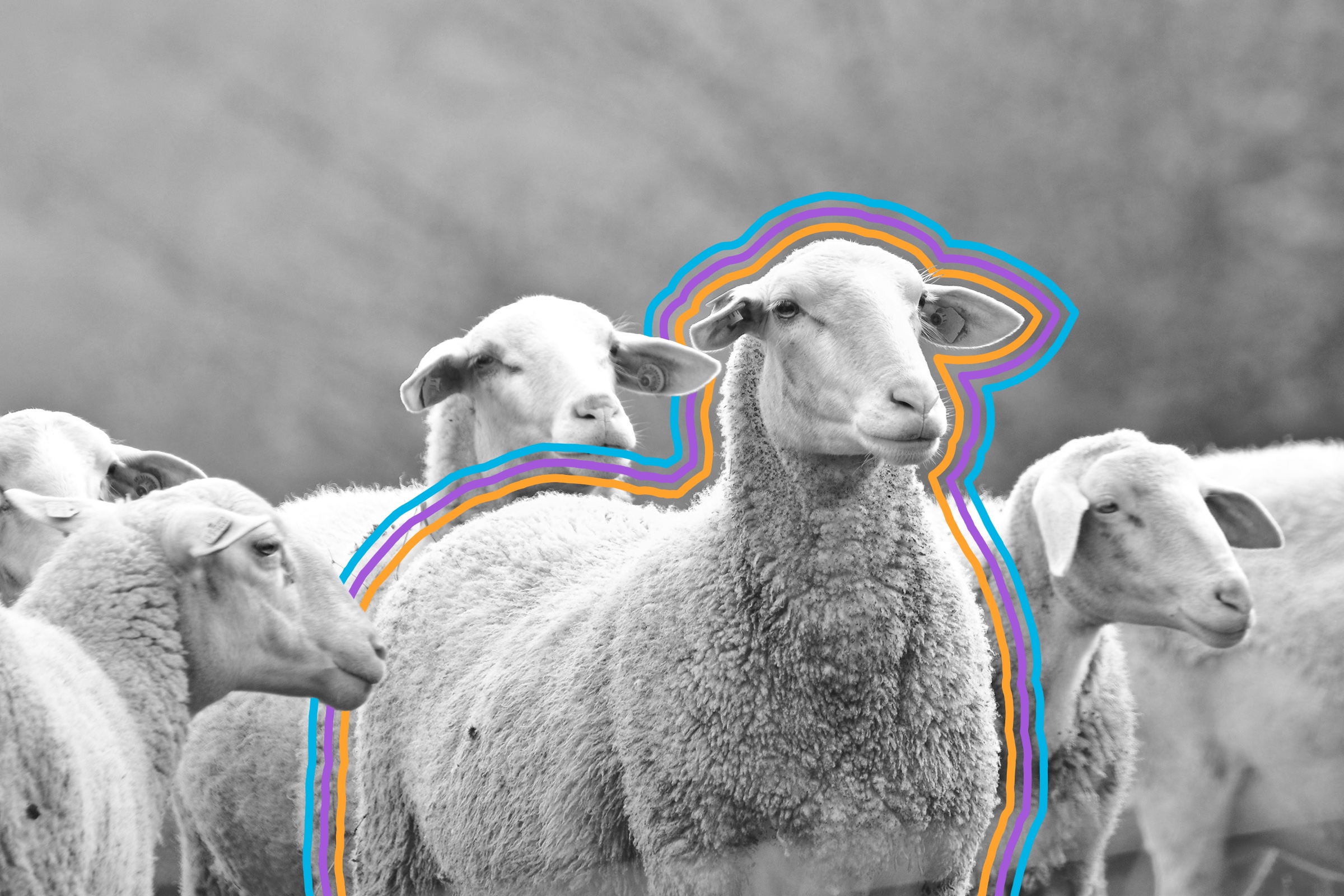 Eat Up These 6 Facts About Rice - Interesting Facts