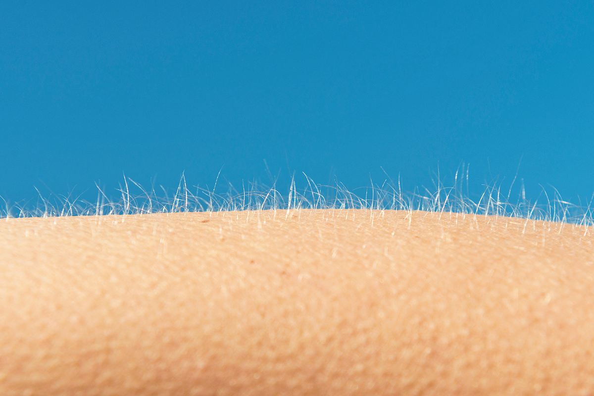 Why Do You Get Goosebumps When You’re Not Cold? - Interesting Facts