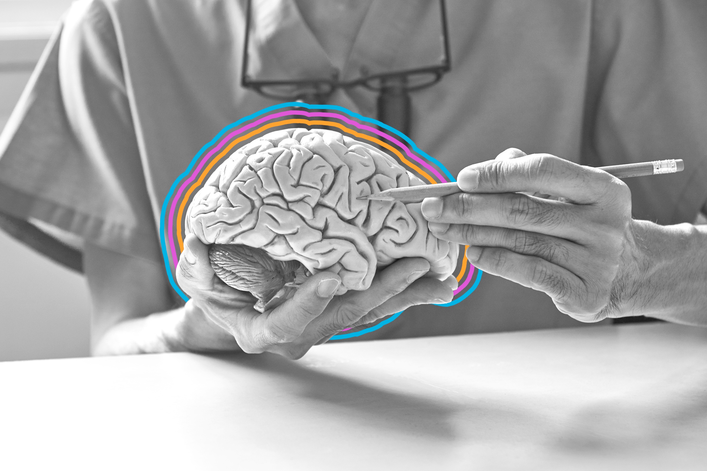 When Does Your Brain Hit Its Peak? - Interesting Facts