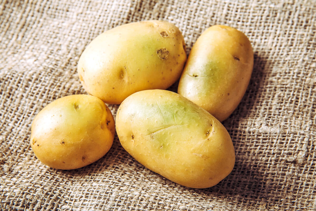 6 Common Foods That Can Be Toxic - Interesting Facts