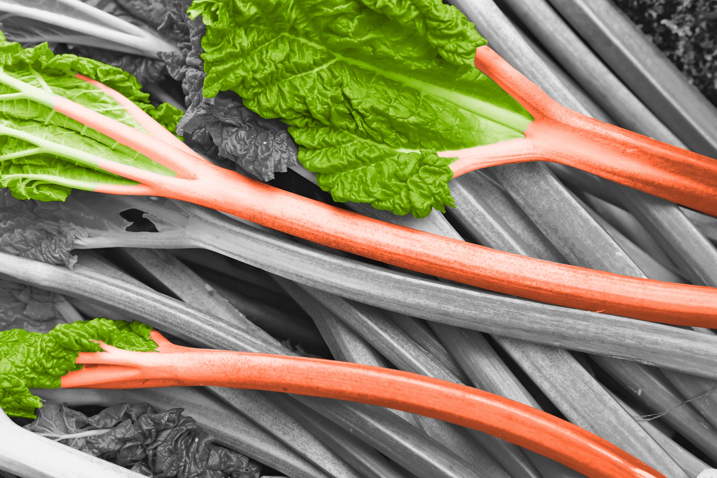 6 Common Foods That Can Be Toxic - Interesting Facts