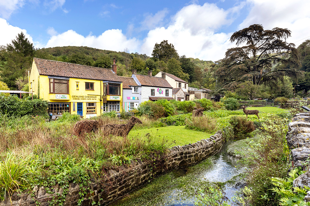 6 Foods You Didn’t Realize Were Named After Places - Interesting Facts